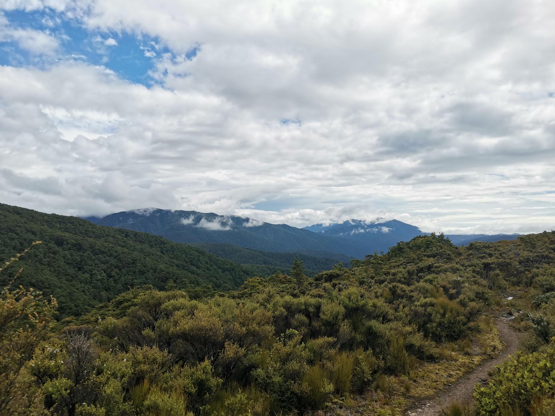 Mount Reeves – Tararua Forest Park – Wellington Tramping and ...