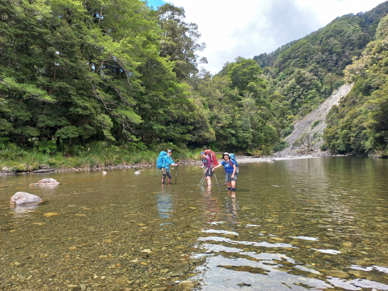 The Island Forks Wet Undies Club – Tararua Forest Park – Wellington ...
