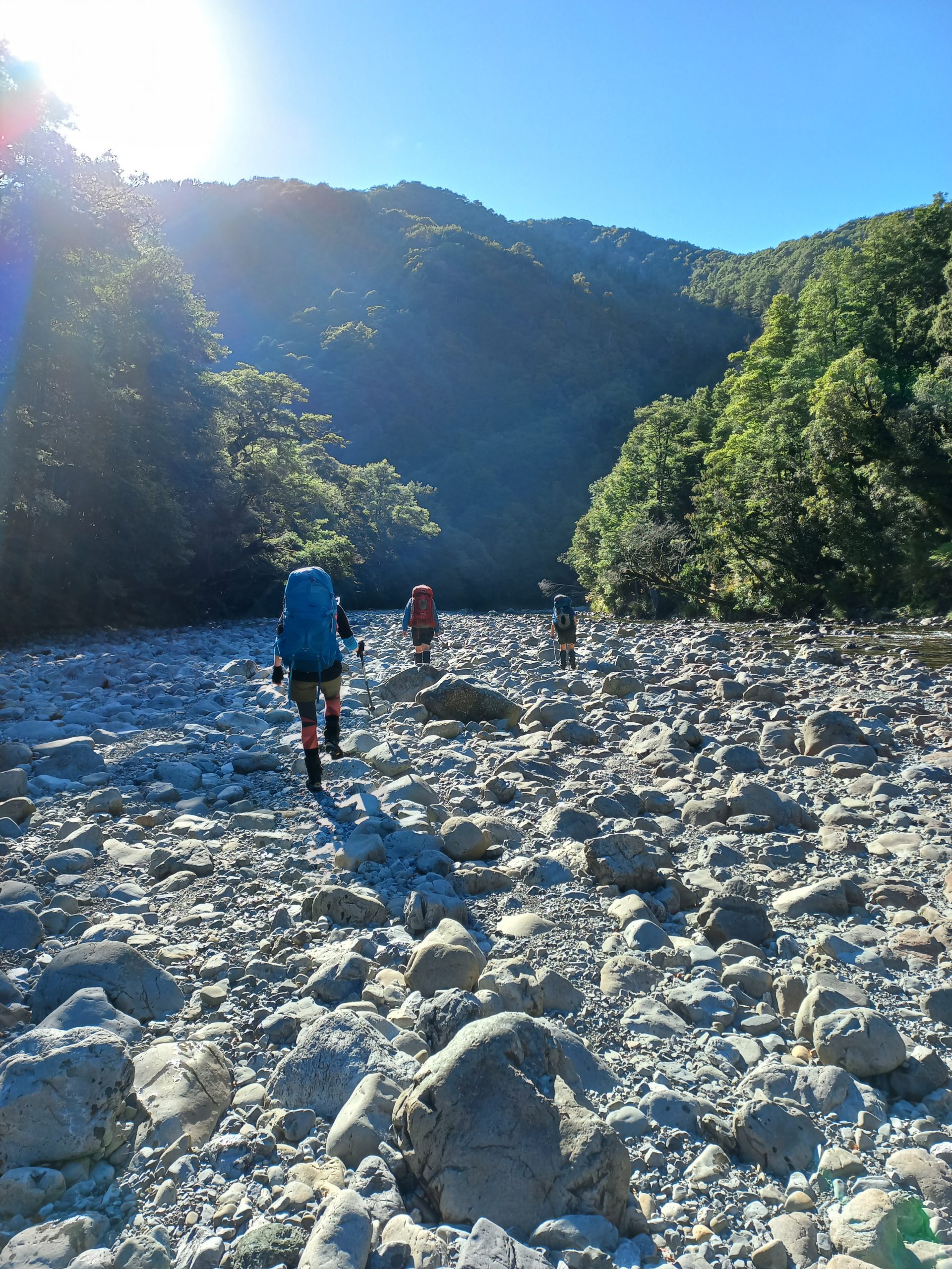 The Island Forks Wet Undies Club – Tararua Forest Park – Wellington ...