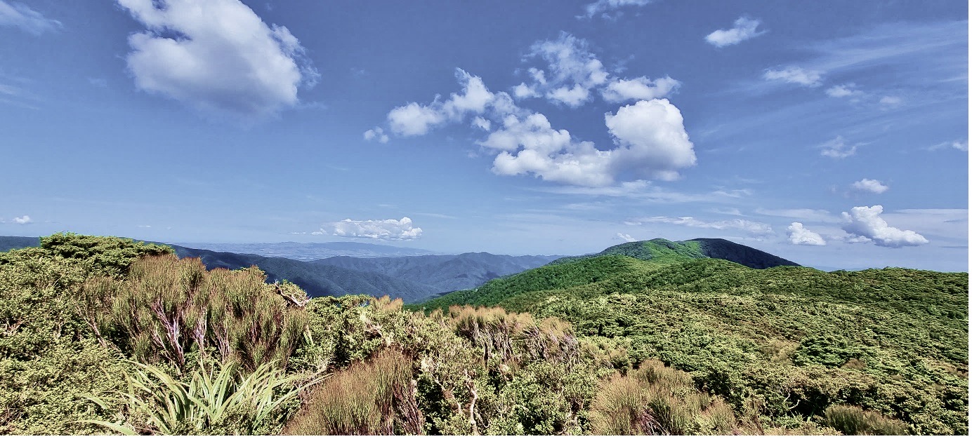 Aborted Southern Crossing; Alpha Hut via Marchant Ridge. Return to ...