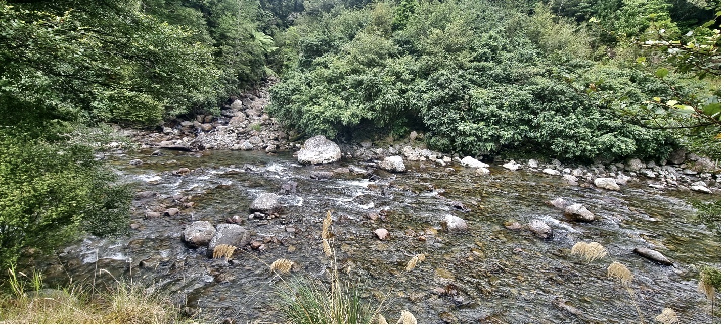 Aborted Southern Crossing; Alpha Hut via Marchant Ridge. Return to ...