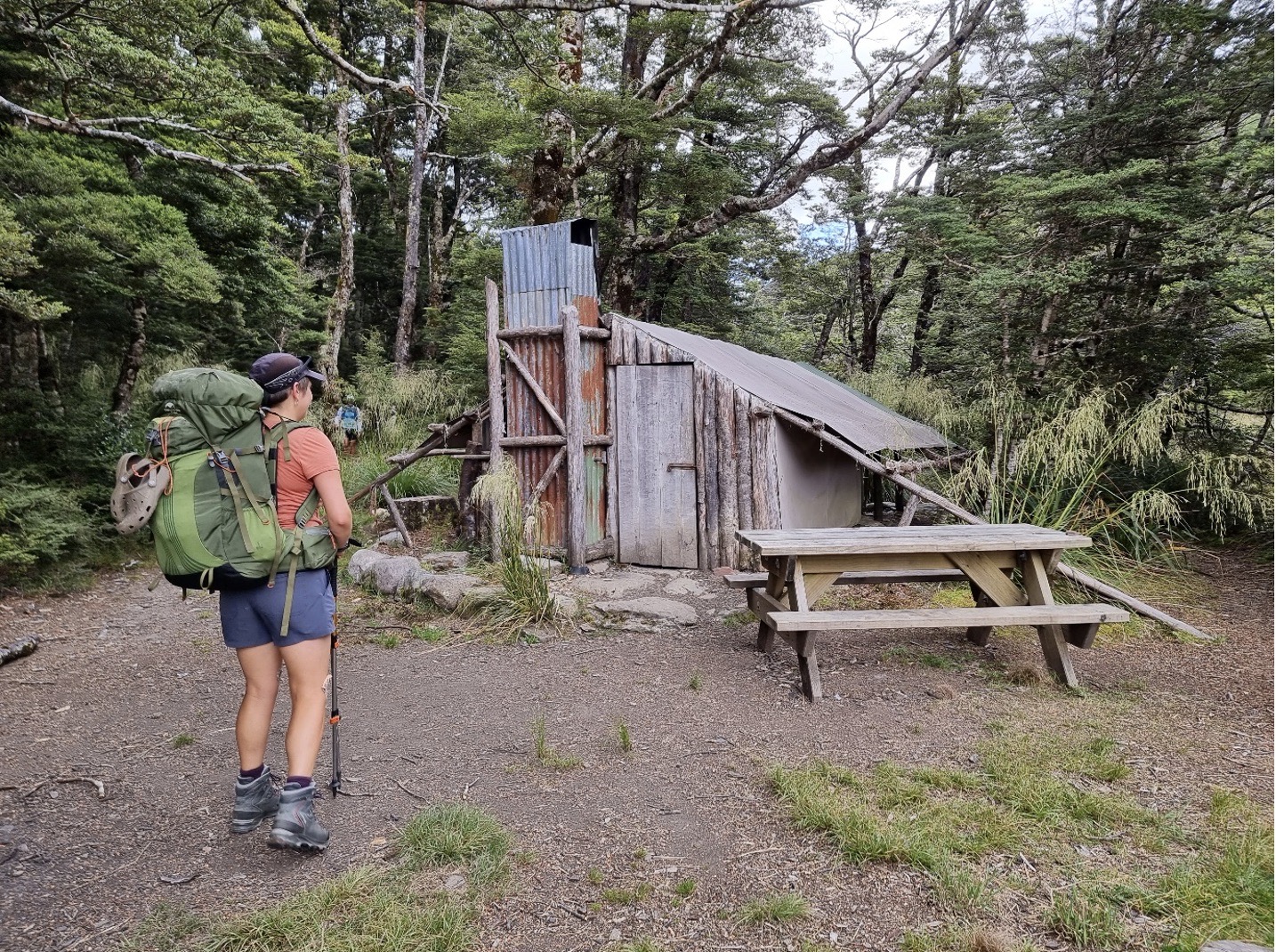 Lockett Range Loop – Kahurangi National Park – Wellington Tramping and ...