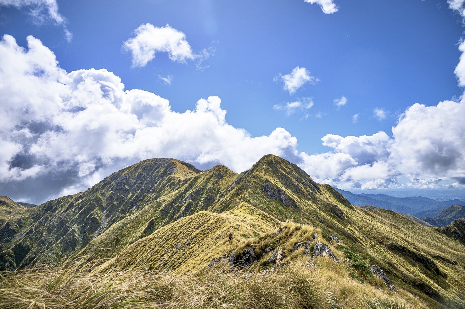 Slimy slug but no steel ladder: Field Hut, Renata Hut – Tararua Forest ...
