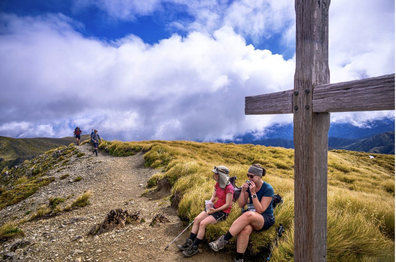 Slimy slug but no steel ladder: Field Hut, Renata Hut – Tararua Forest ...