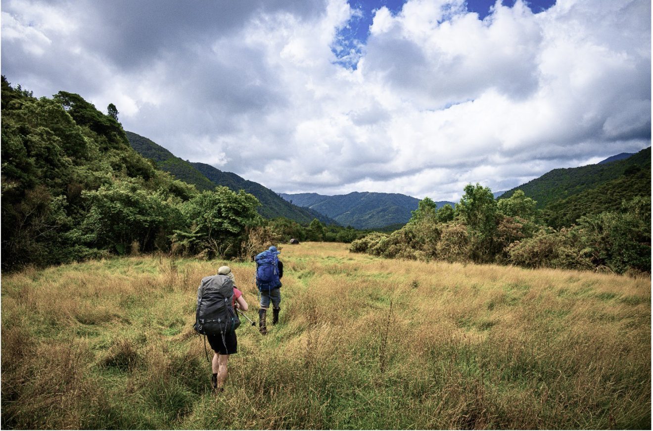 Slimy slug but no steel ladder: Field Hut, Renata Hut – Tararua Forest ...