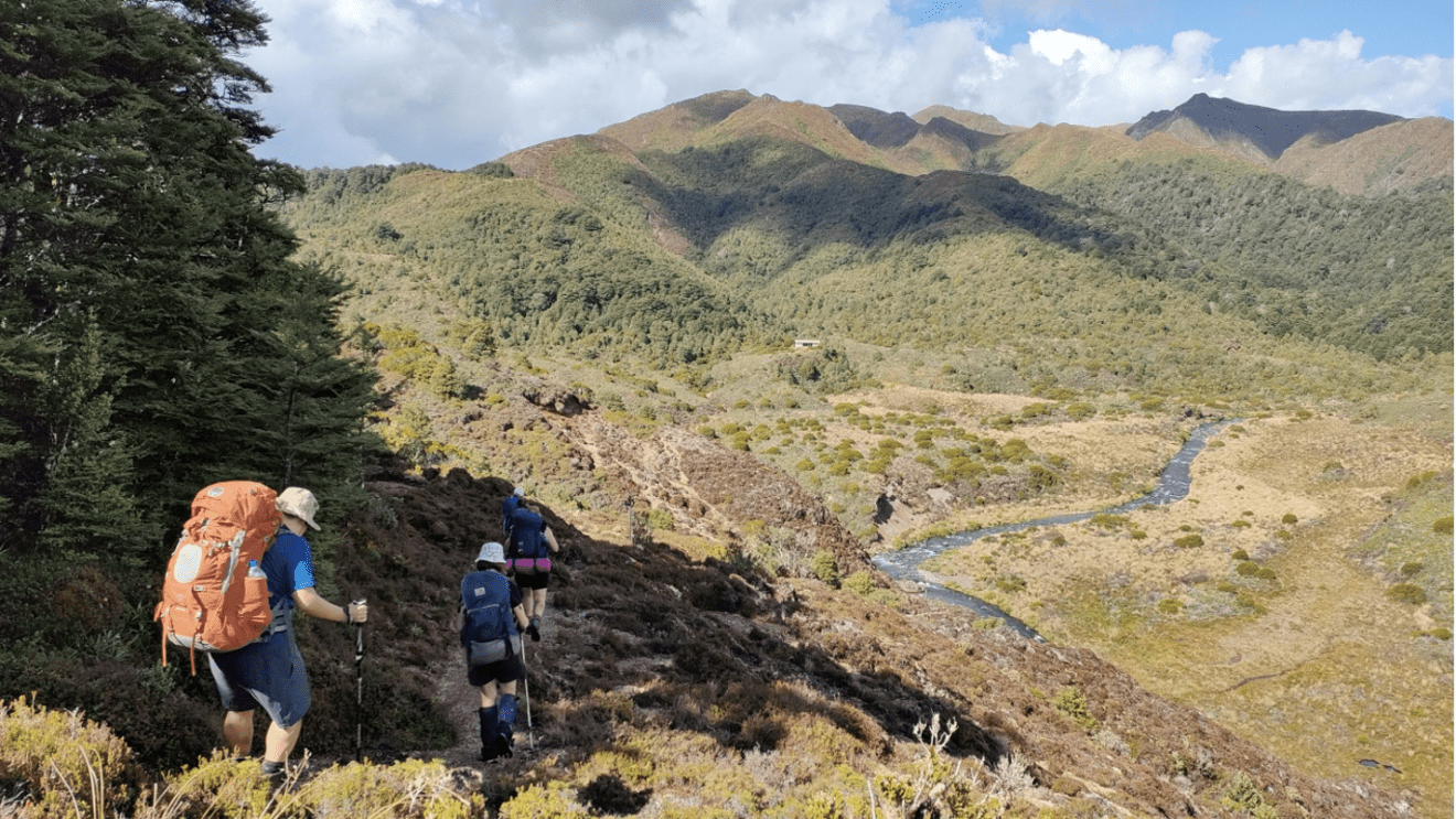 Waipakihi Hut – Kaimanawa Forest Park: the mists of Ireland ...
