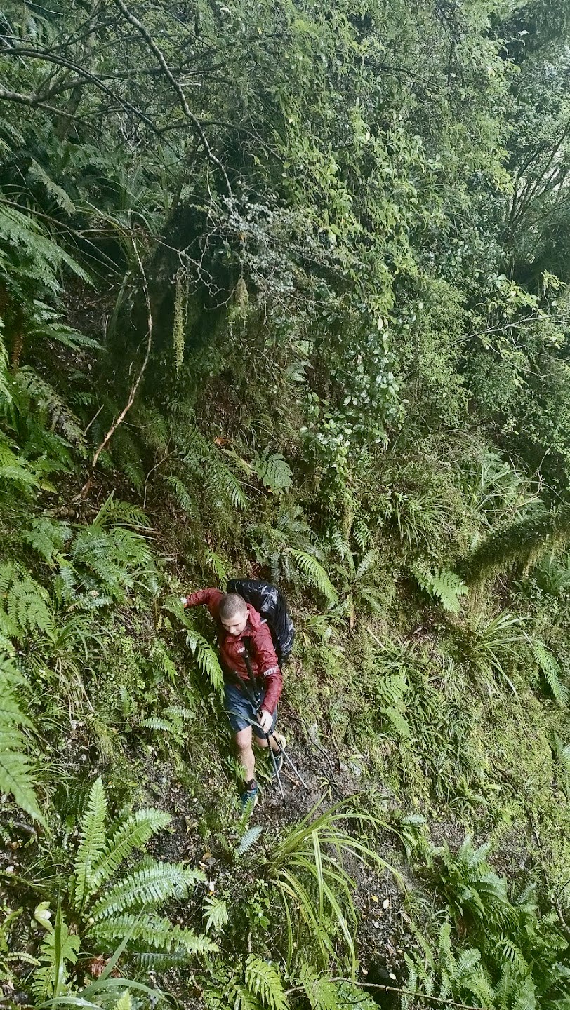 Ups and downs to Arete Forks Hut – Tararua Forest Park – Wellington ...