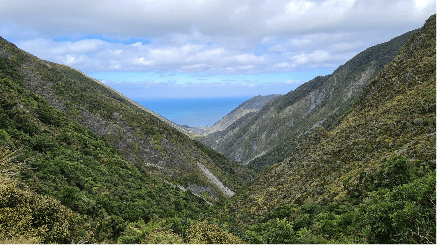 South Saddle via Goat Stream – Remutaka Forest Park – Wellington ...