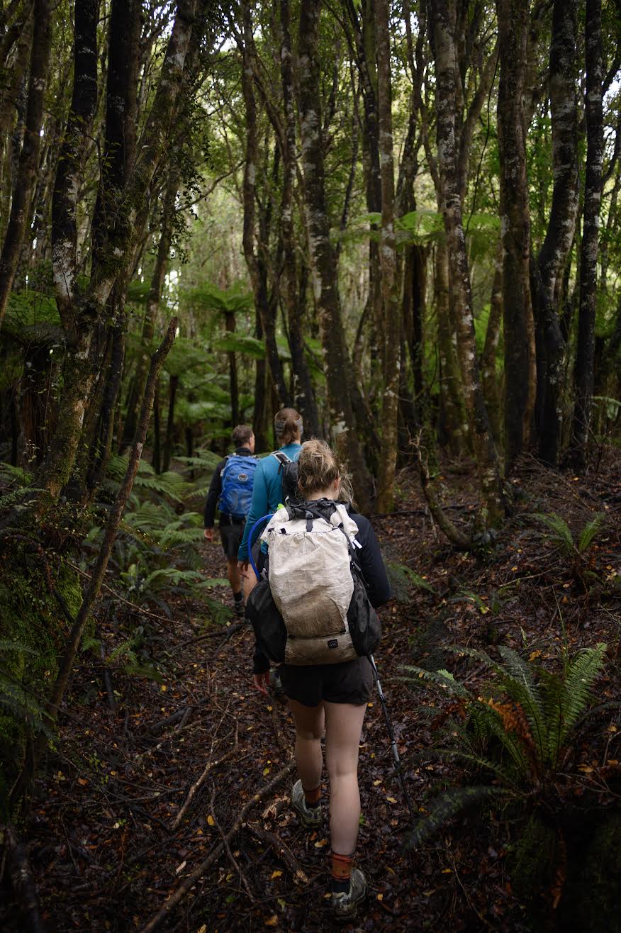 A speedy visit to the largest rata you’ll ever see: the Karapoti Rata ...