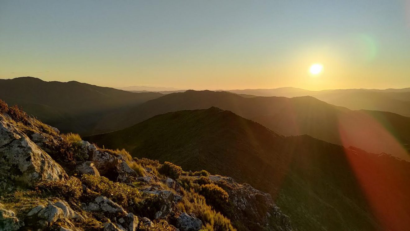 Pig Flat Hut and the Remutaka Trig – Wellington Tramping and ...