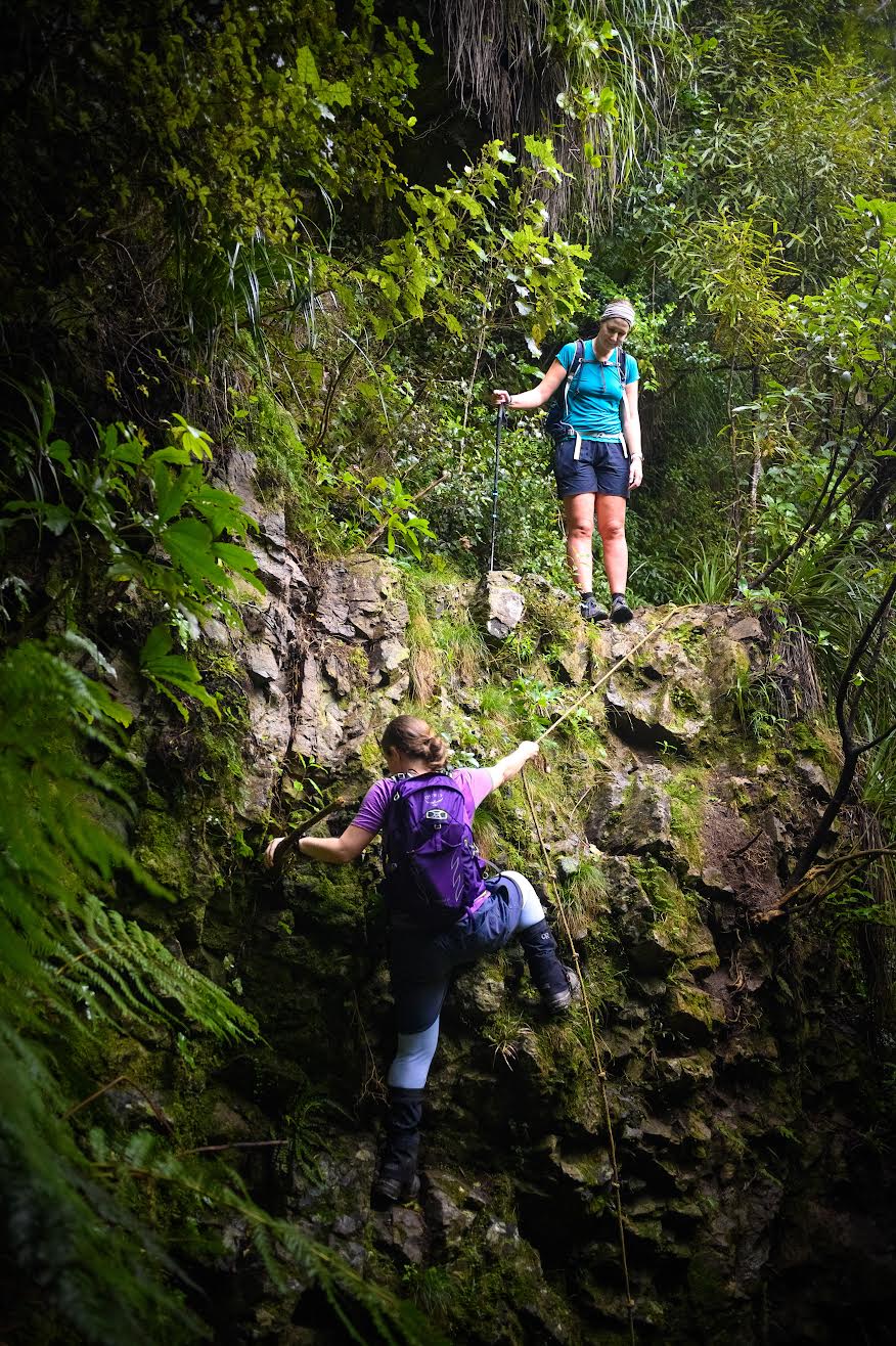 A speedy visit to the largest rata you’ll ever see: the Karapoti Rata ...