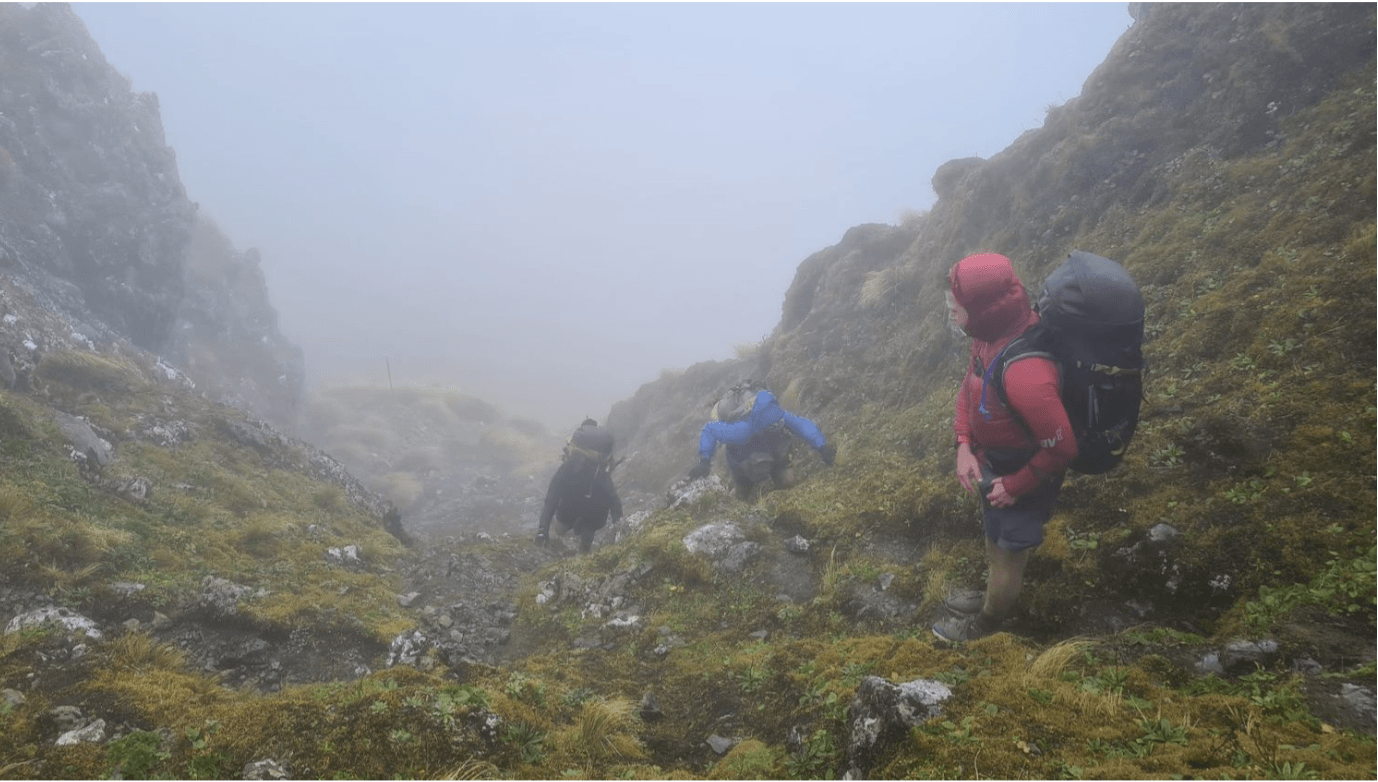 Tararua Peaks Circuit – Tararua Forest Park – Wellington Tramping and ...