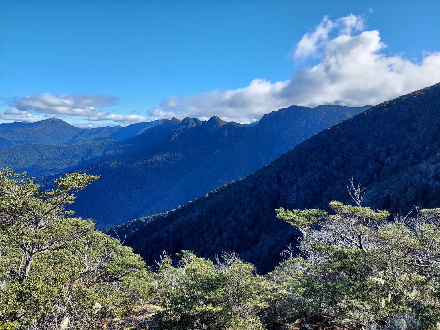Richmond Saddle Hut – Mount Richmond Forest Park – Wellington Tramping ...
