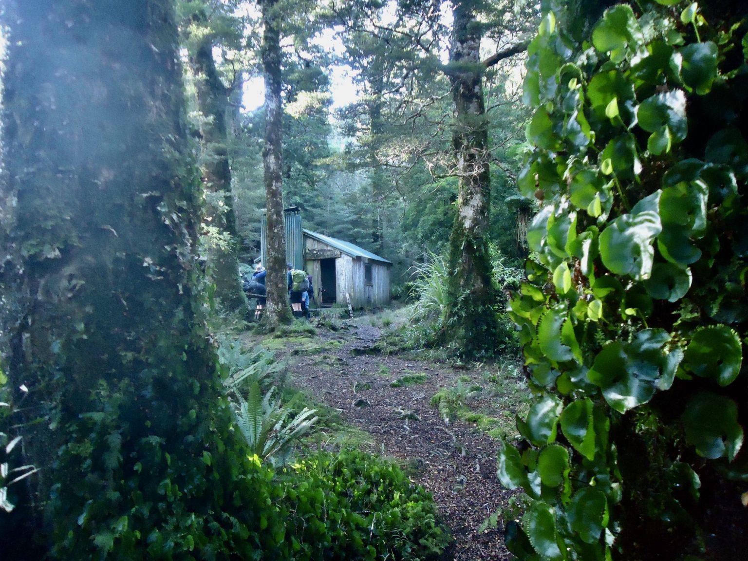 Tutuwai Hut and the Geographic Centre of NZ – Tararua Forest Park ...