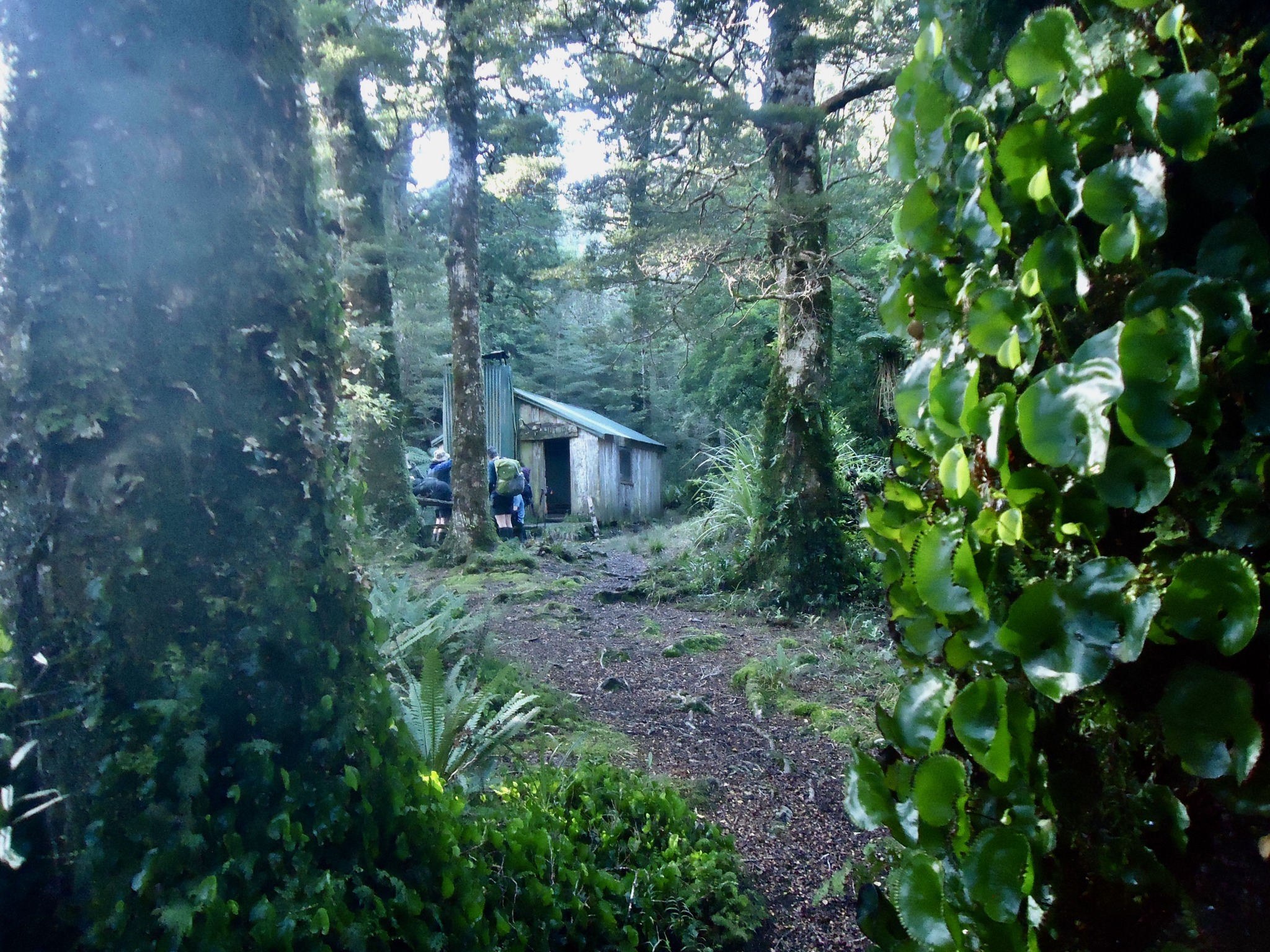 Tutuwai Hut and the Geographic Centre of NZ – Tararua Forest Park ...