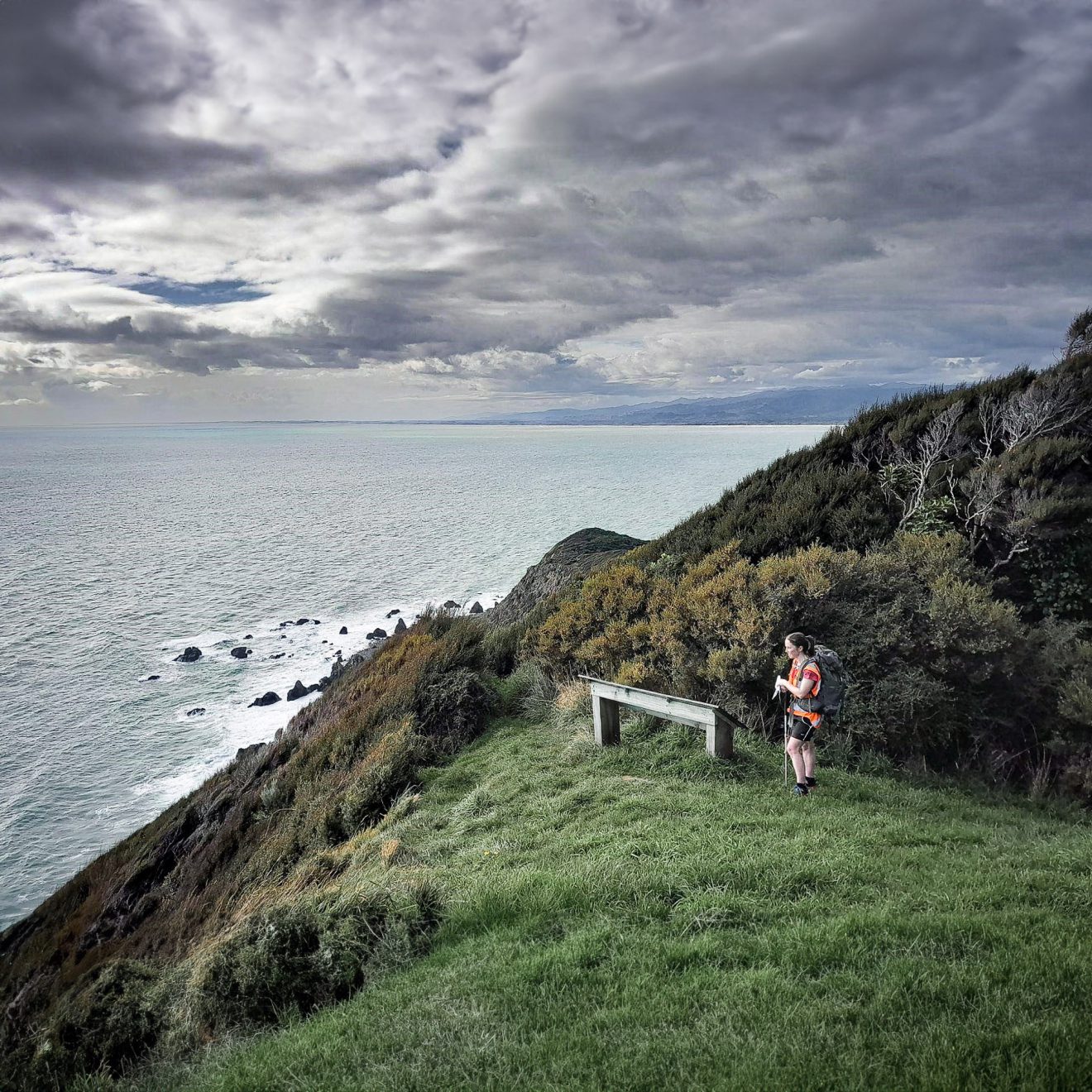 Volunteering on Kapiti Island – Wellington Tramping and Mountaineering Club