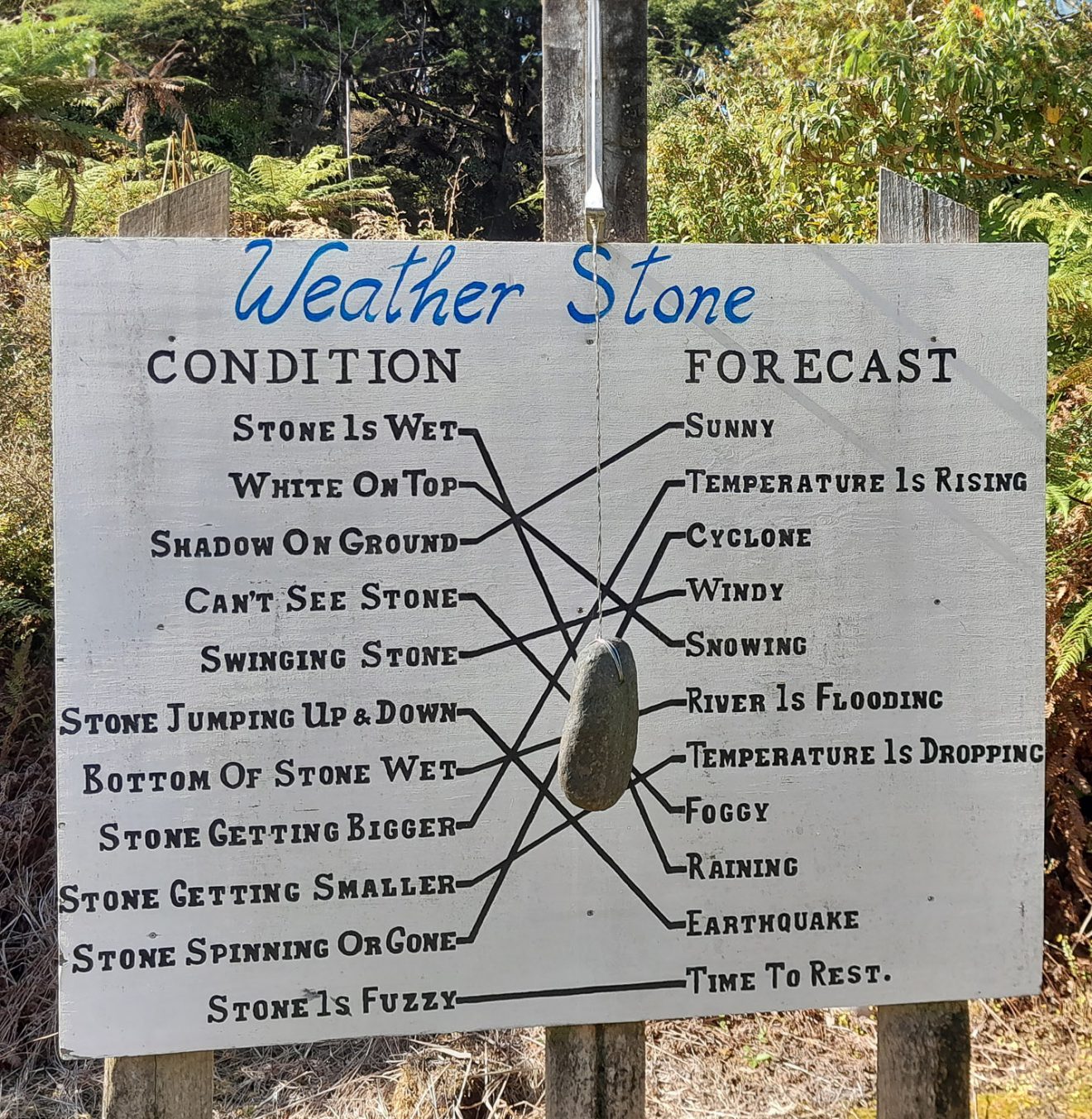 Waitutu-Lodge-weather-predicting-stone – Wellington Tramping and ...