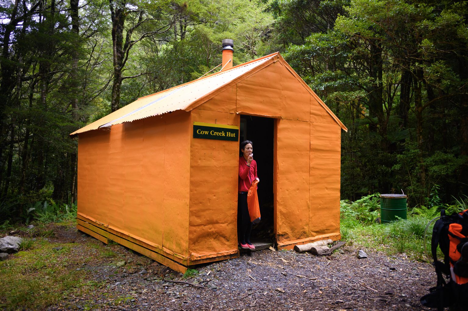 Arete Forks Hut – Tararua Forest Park – Wellington Tramping and ...