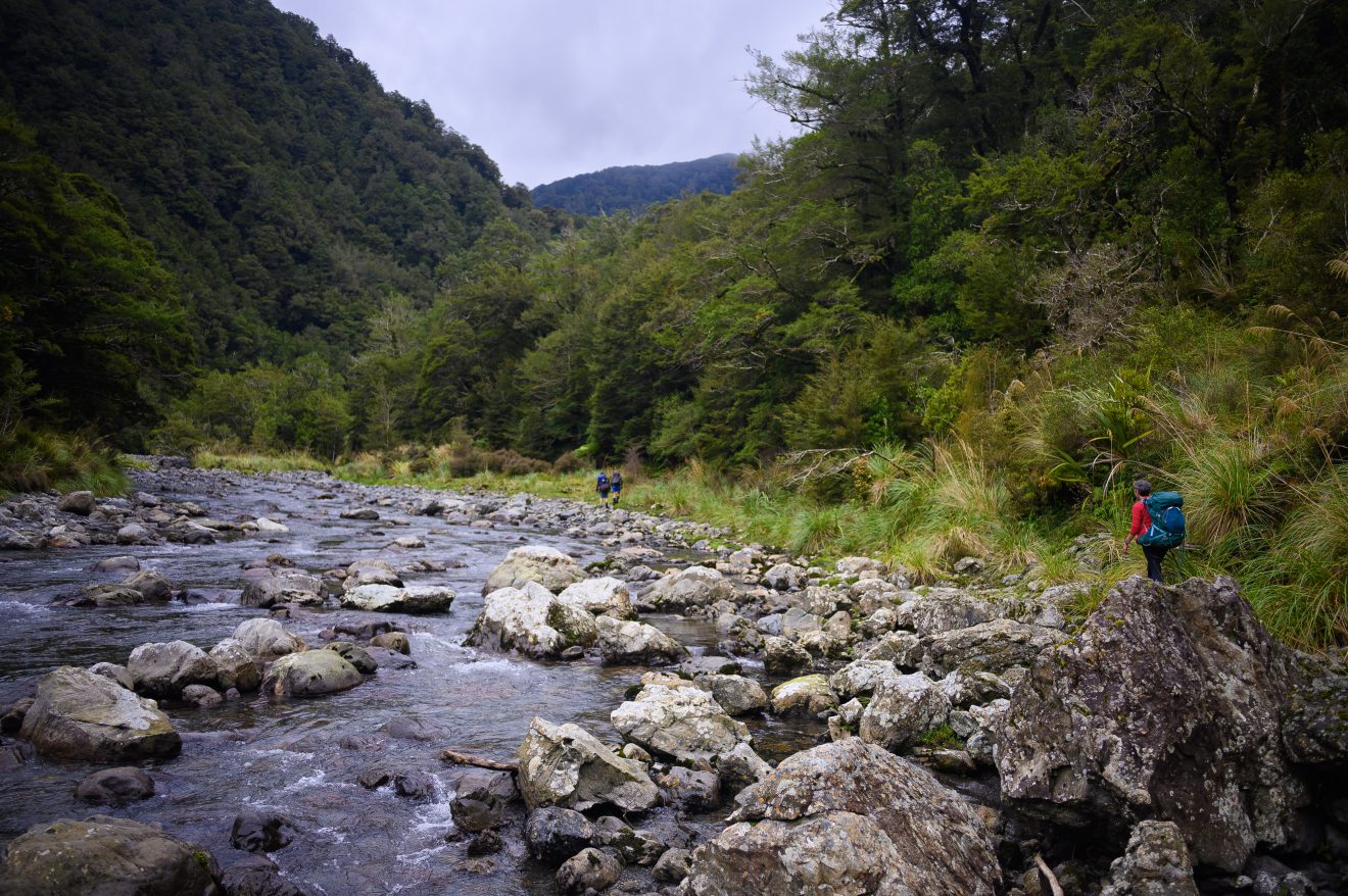 Arete Forks Hut – Tararua Forest Park – Wellington Tramping and ...