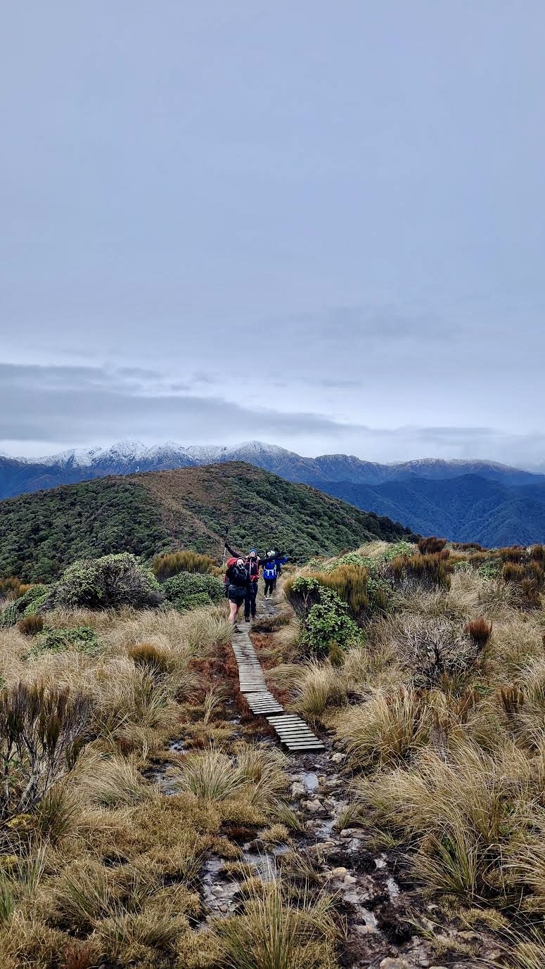 Te Matawai Hut – Tararua Forest Park – Wellington Tramping and ...