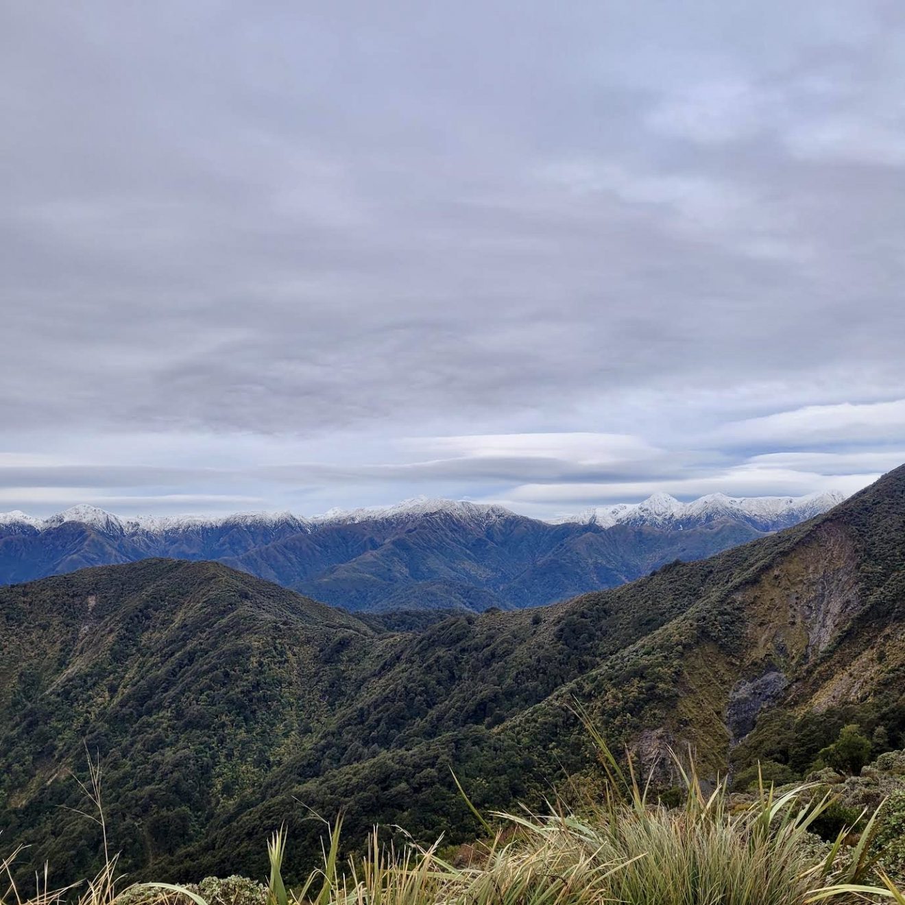 Te Matawai Hut – Tararua Forest Park – Wellington Tramping and ...
