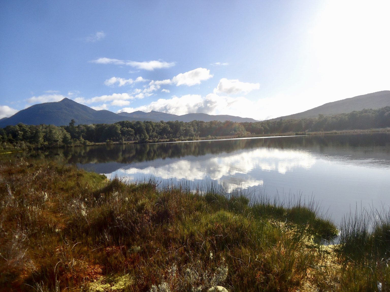 Kepler Track – Fiordland National Park – Wellington Tramping and ...