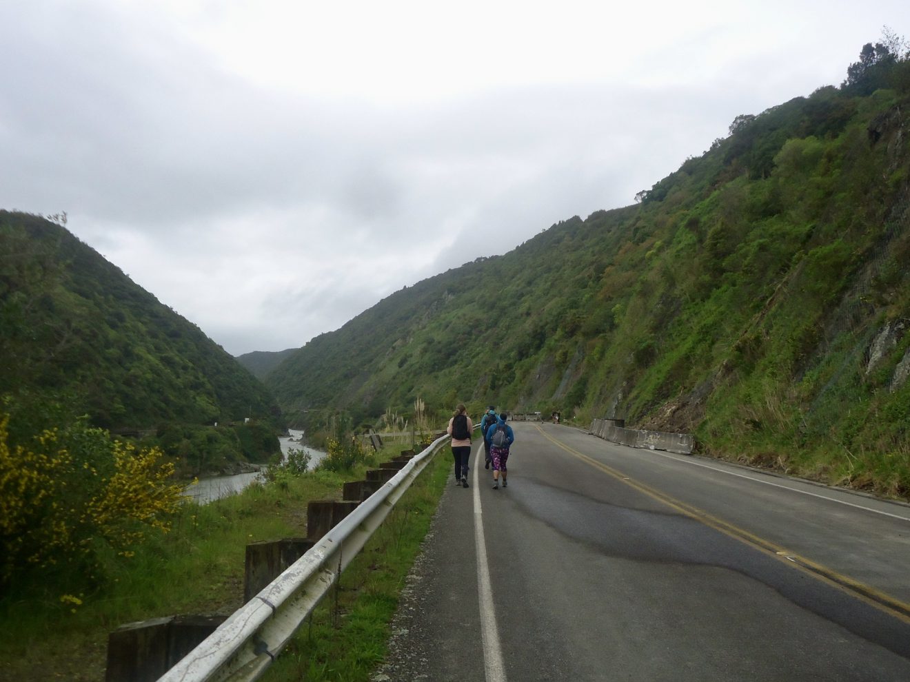 Manawatu Gorge Track – Wellington Tramping and Mountaineering Club