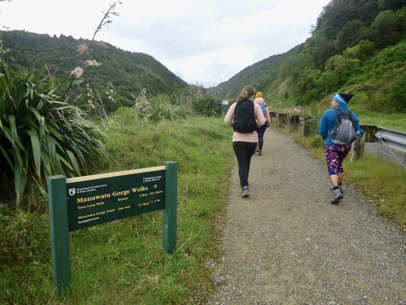 Manawatu Gorge Track – Wellington Tramping and Mountaineering Club