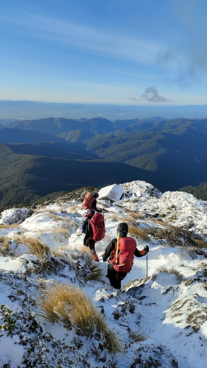 Powell Hut – Tararua Forest Park – Wellington Tramping and ...