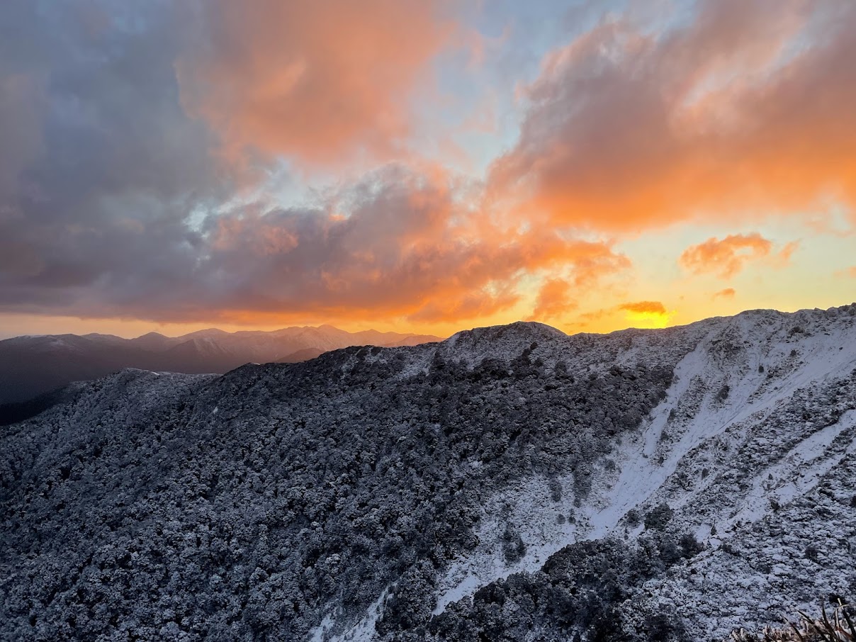 Powell Hut – Tararua Forest Park – Wellington Tramping and ...