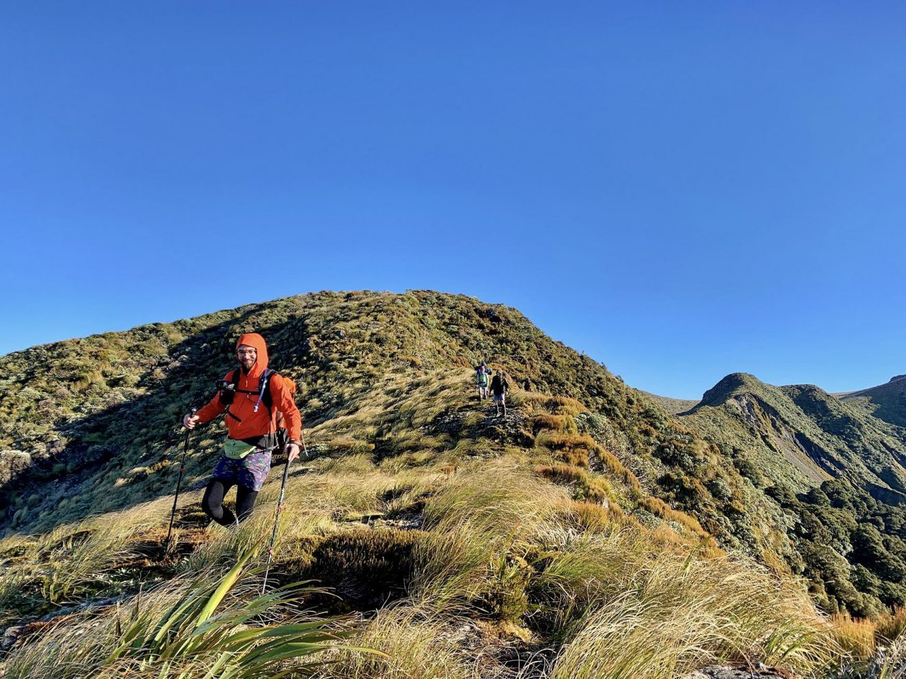 Pizzas, High Ridge and a Wild Pig – Tararua Forest Park – Wellington ...