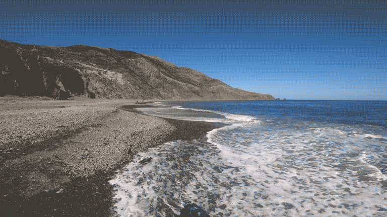 Makara-Beach-to-Red-Rocks – Wellington Tramping and Mountaineering Club