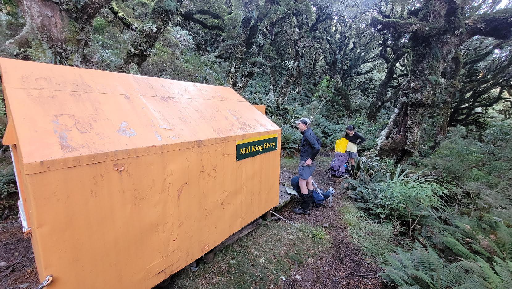 Tarn Ridge Hut Loop – Tararua Forest Park – Wellington Tramping and ...