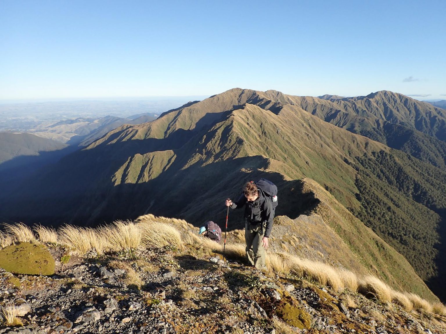 Tarn Ridge Hut Loop – Tararua Forest Park – Wellington Tramping and ...