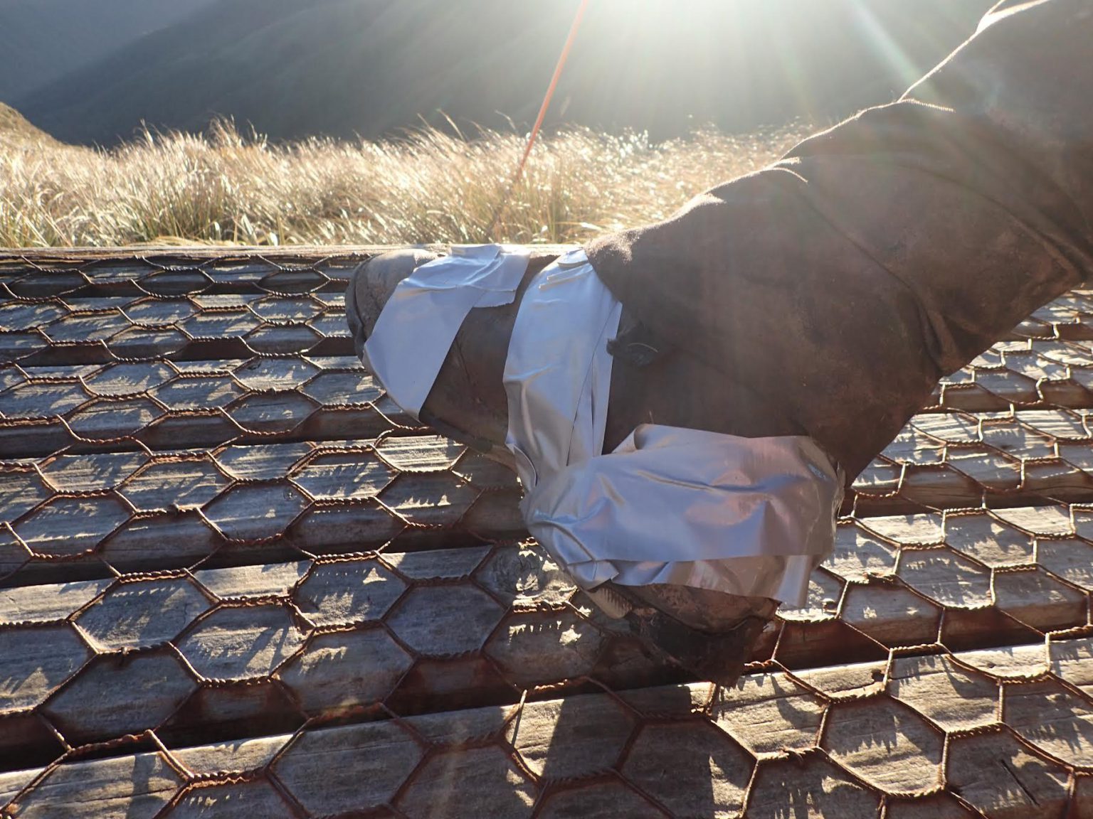 Tarn Ridge Hut Loop – Tararua Forest Park – Wellington Tramping and ...