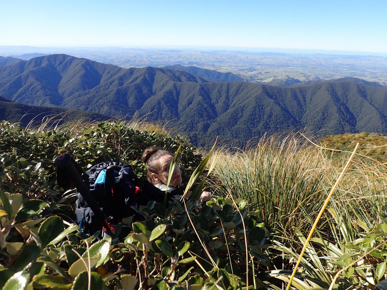 Tarn Ridge Hut Loop – Tararua Forest Park – Wellington Tramping and ...