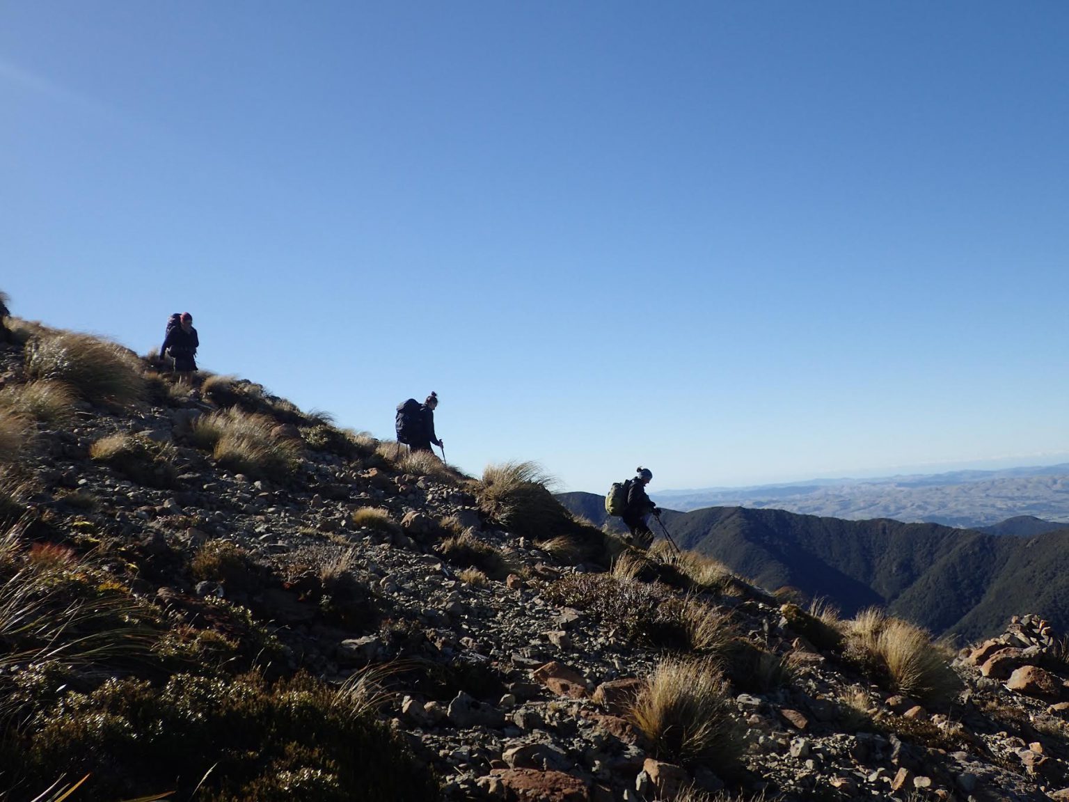 Tarn Ridge Hut Loop – Tararua Forest Park – Wellington Tramping and ...