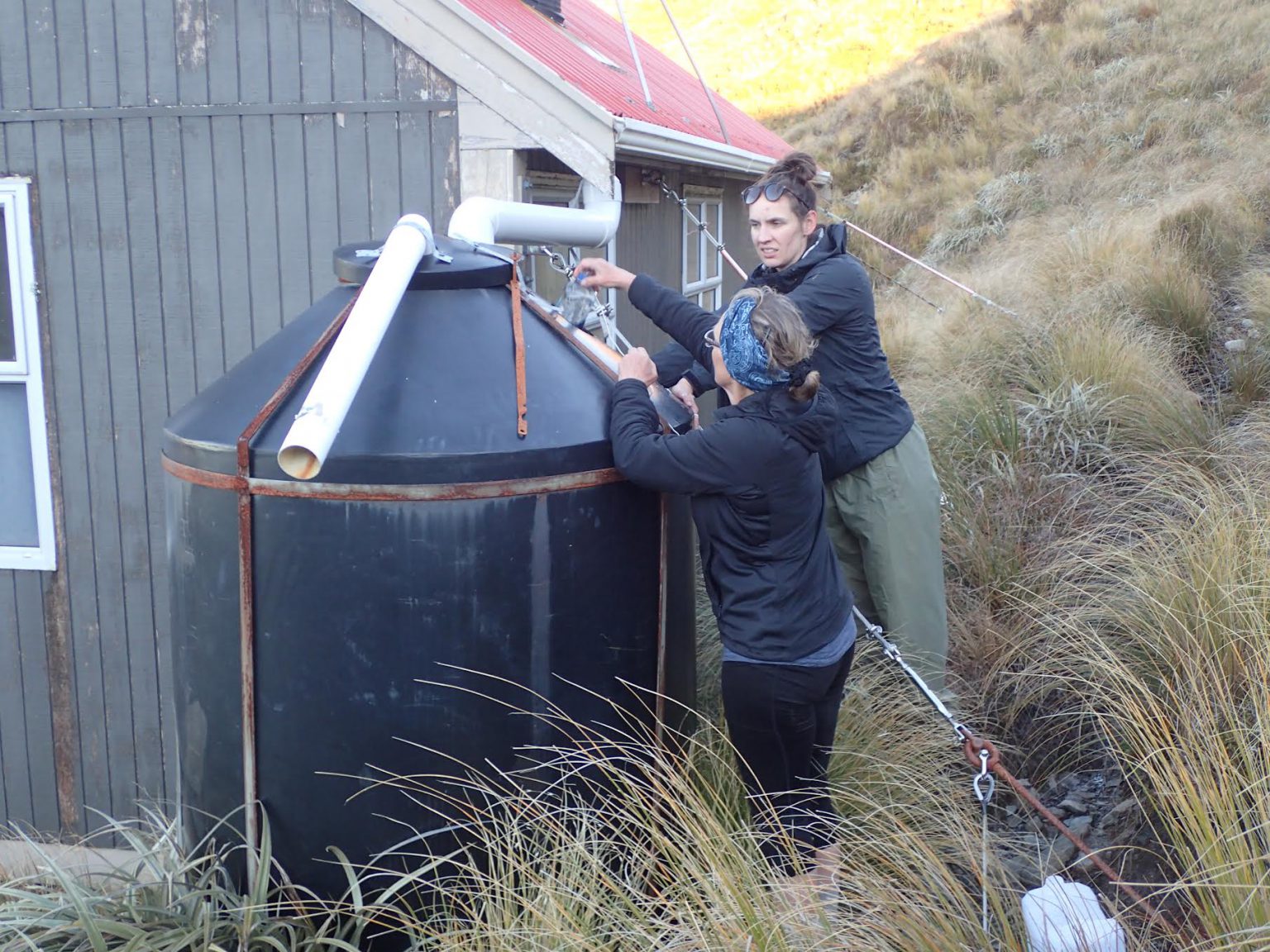 Tarn Ridge Hut Loop – Tararua Forest Park – Wellington Tramping and ...