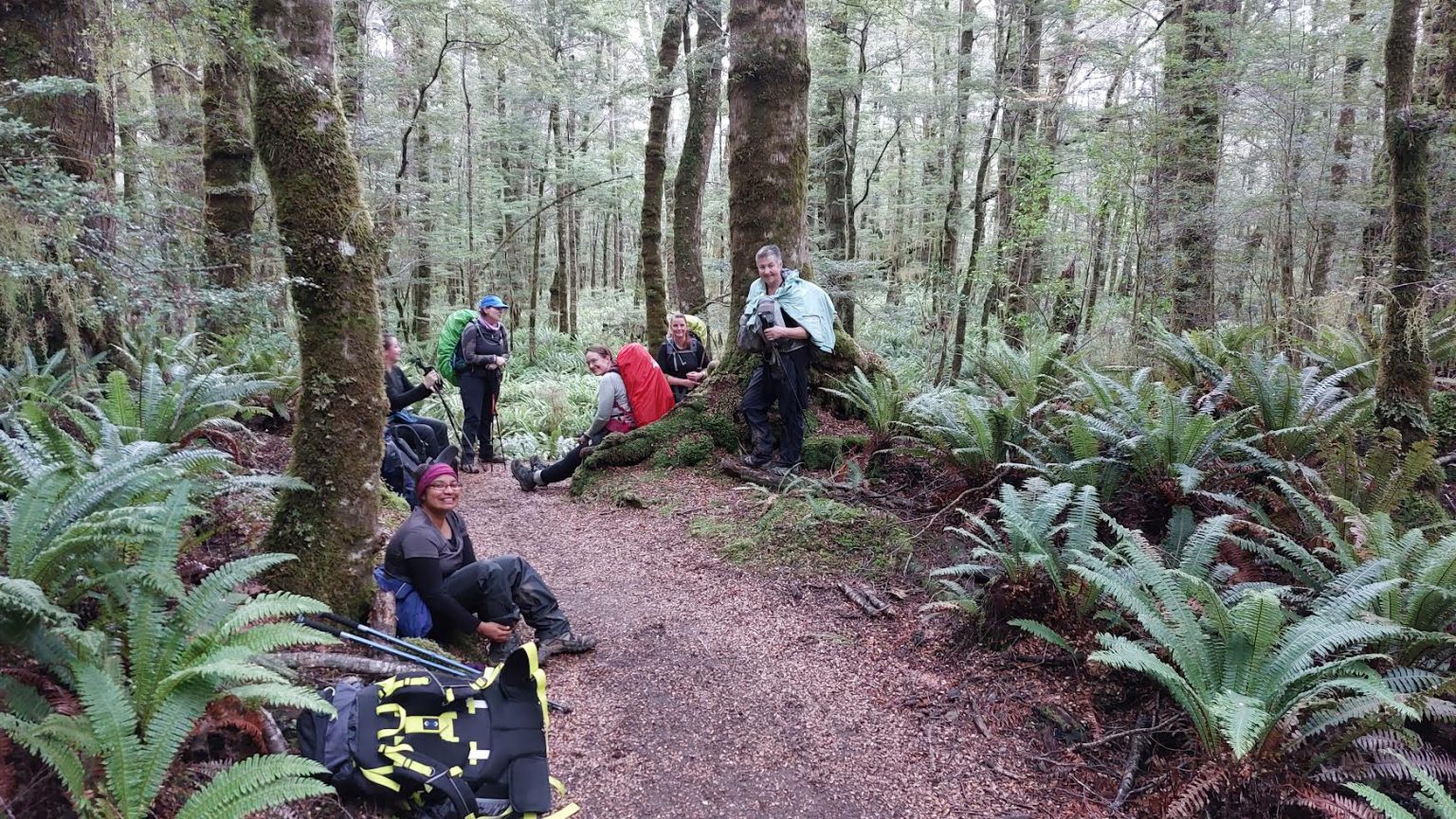 Another enjoyable Kepler Great Walk – Fiordland National Park ...
