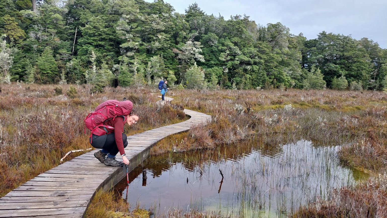 Another enjoyable Kepler Great Walk – Fiordland National Park ...