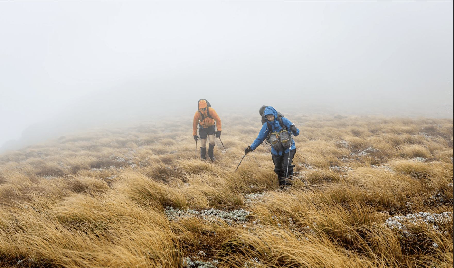 Ruahine Corner – Ruahine Forest Park – Wellington Tramping and ...