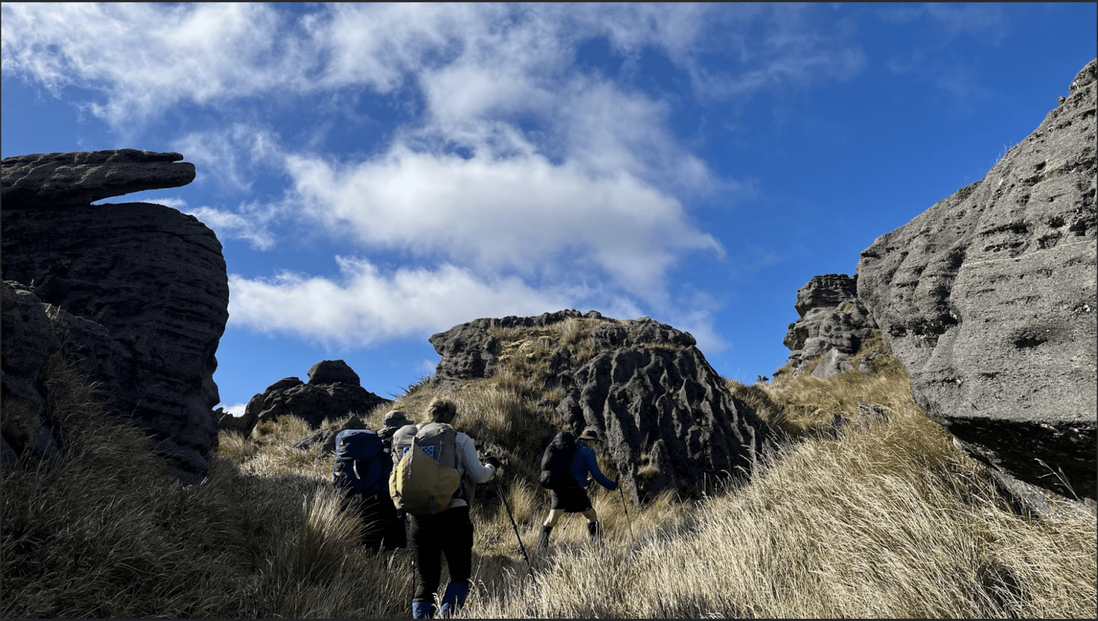 Ruahine Corner – Ruahine Forest Park – Wellington Tramping and ...