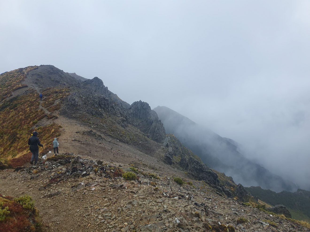 Sunrise Hut & Top Maropea Hut – Ruahine Forest Park – Wellington ...