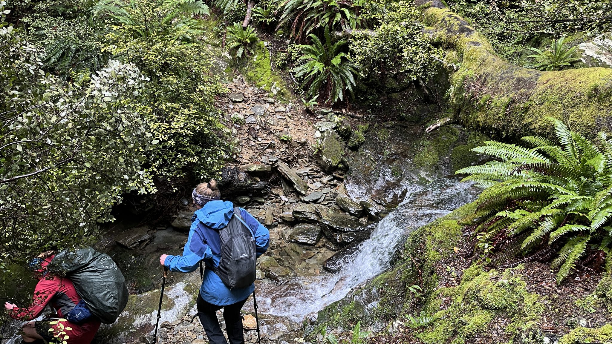 Devils Creek Hut – Mt Richmond Forest Park – Wellington Tramping and ...