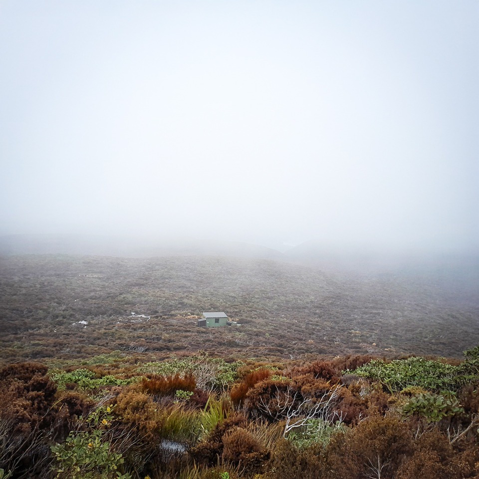 Table-Hill-hut – Wellington Tramping and Mountaineering Club