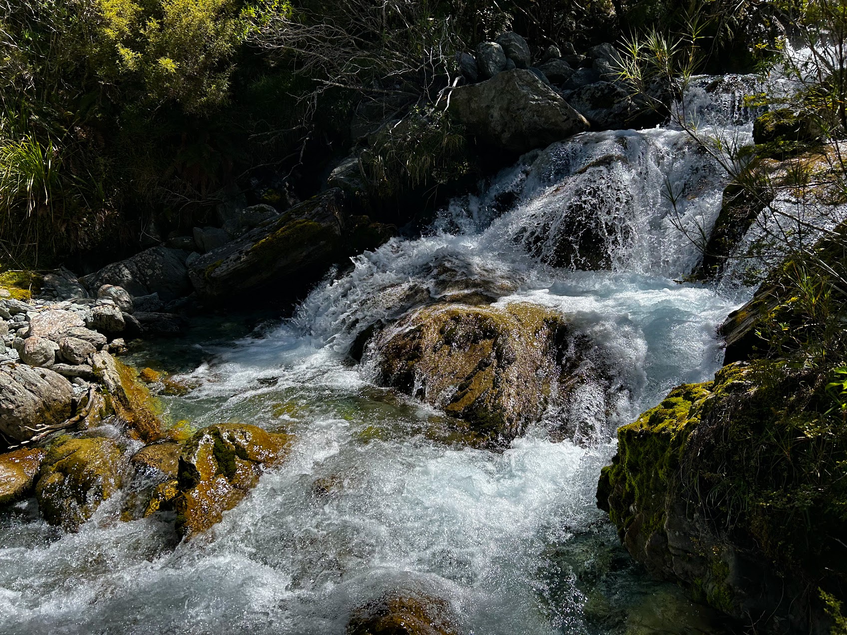 Five passes (Mount Aspiring National Park) – Wellington Tramping and ...