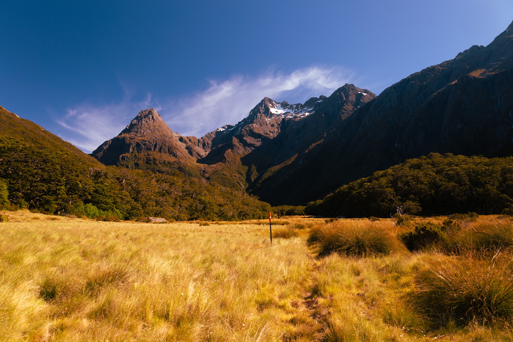 Five passes (Mount Aspiring National Park) – Wellington Tramping and ...