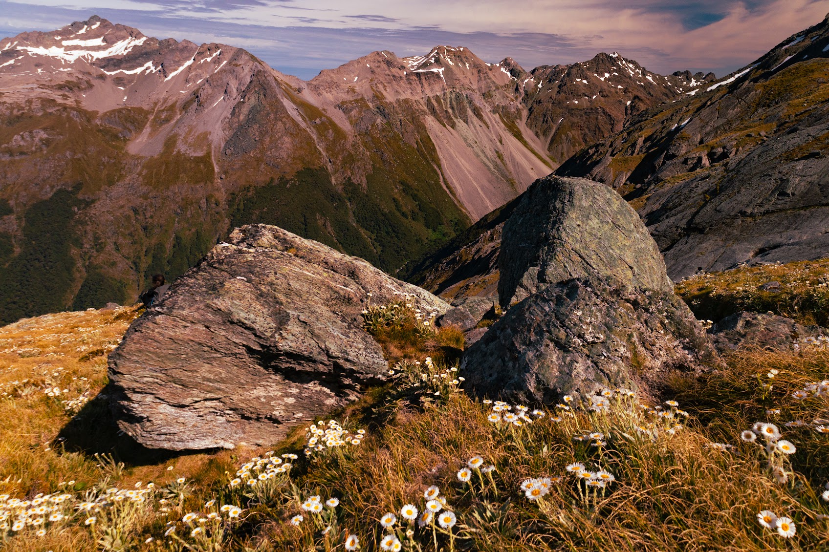 Five passes (Mount Aspiring National Park) – Wellington Tramping and ...