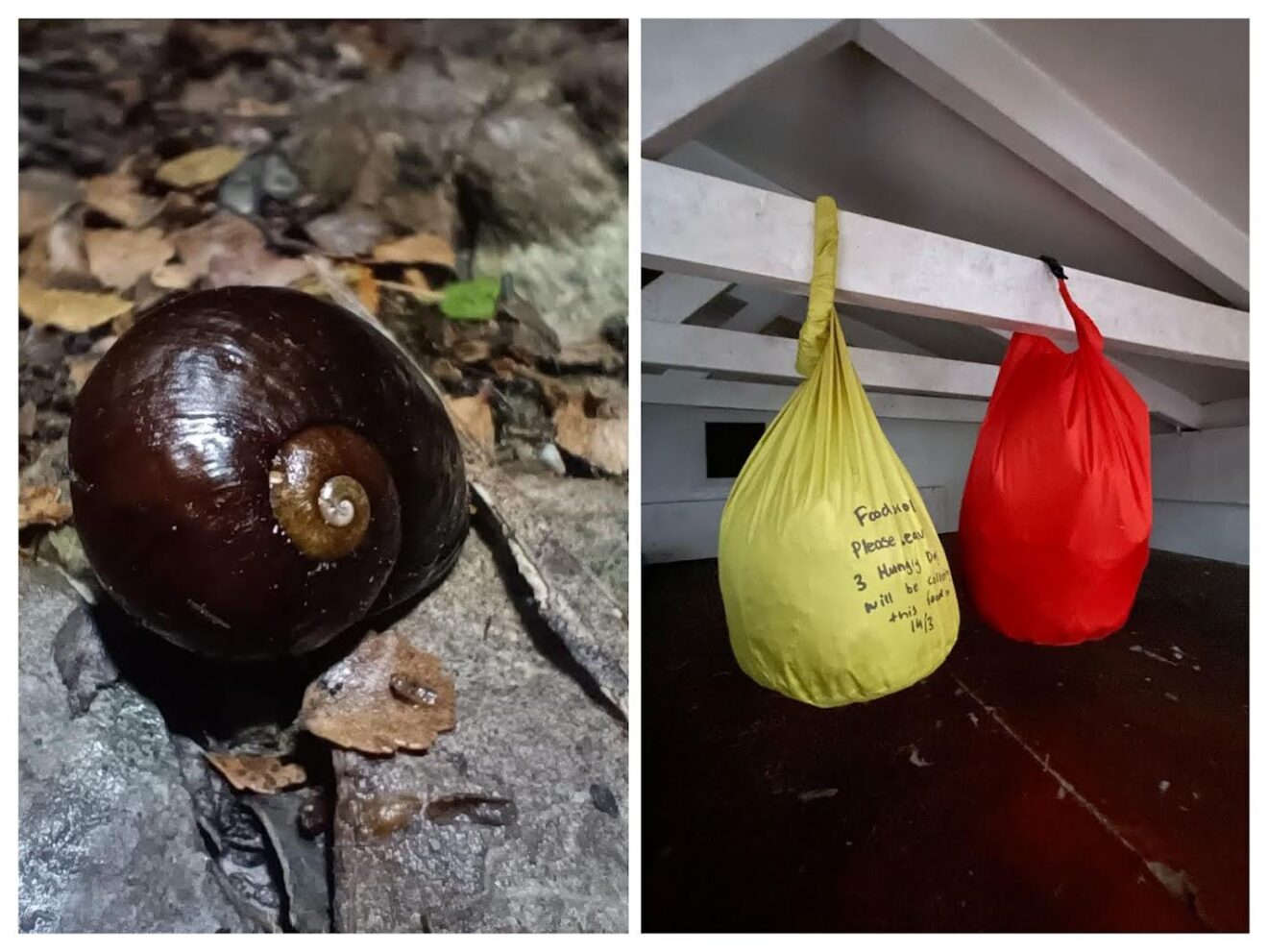 Pack floating down the Waiohine Gorge – Tararua Forest Park ...