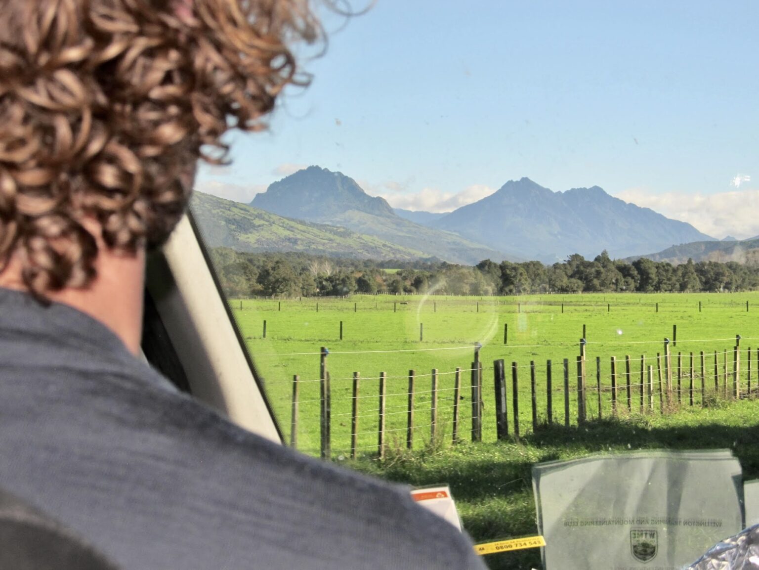 Mount Hikurangi – Ruakumara Forest Park (Stragglers, Stunning Views ...